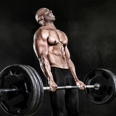Build Muscle – Muscle Fortress